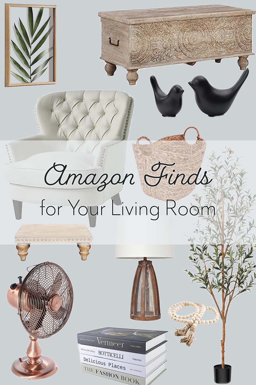 Amazon Finds for Your Living Room - Katie T's Home