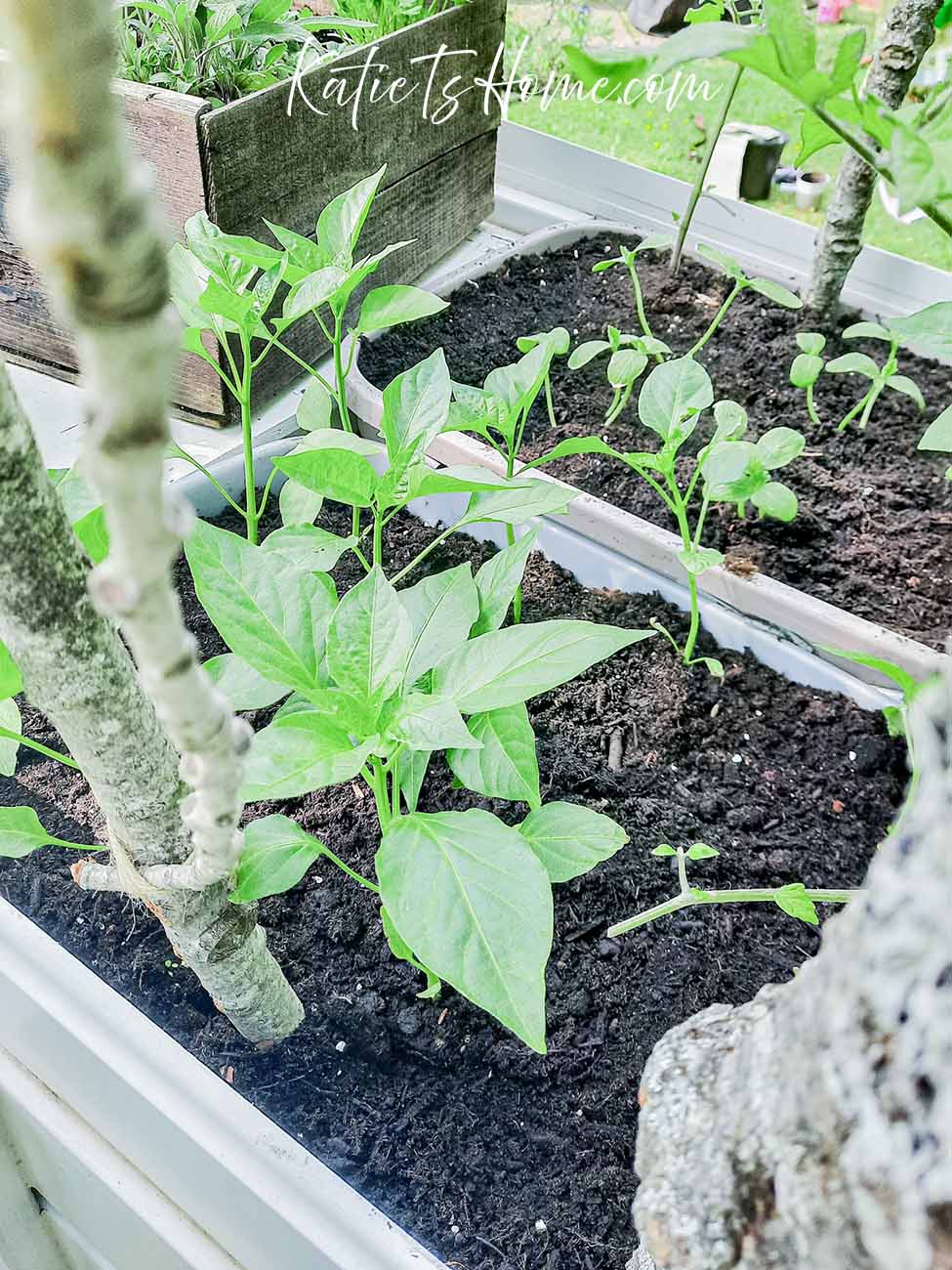 Unique Outdoor Potting Station Idea for Gardening and Entertaining