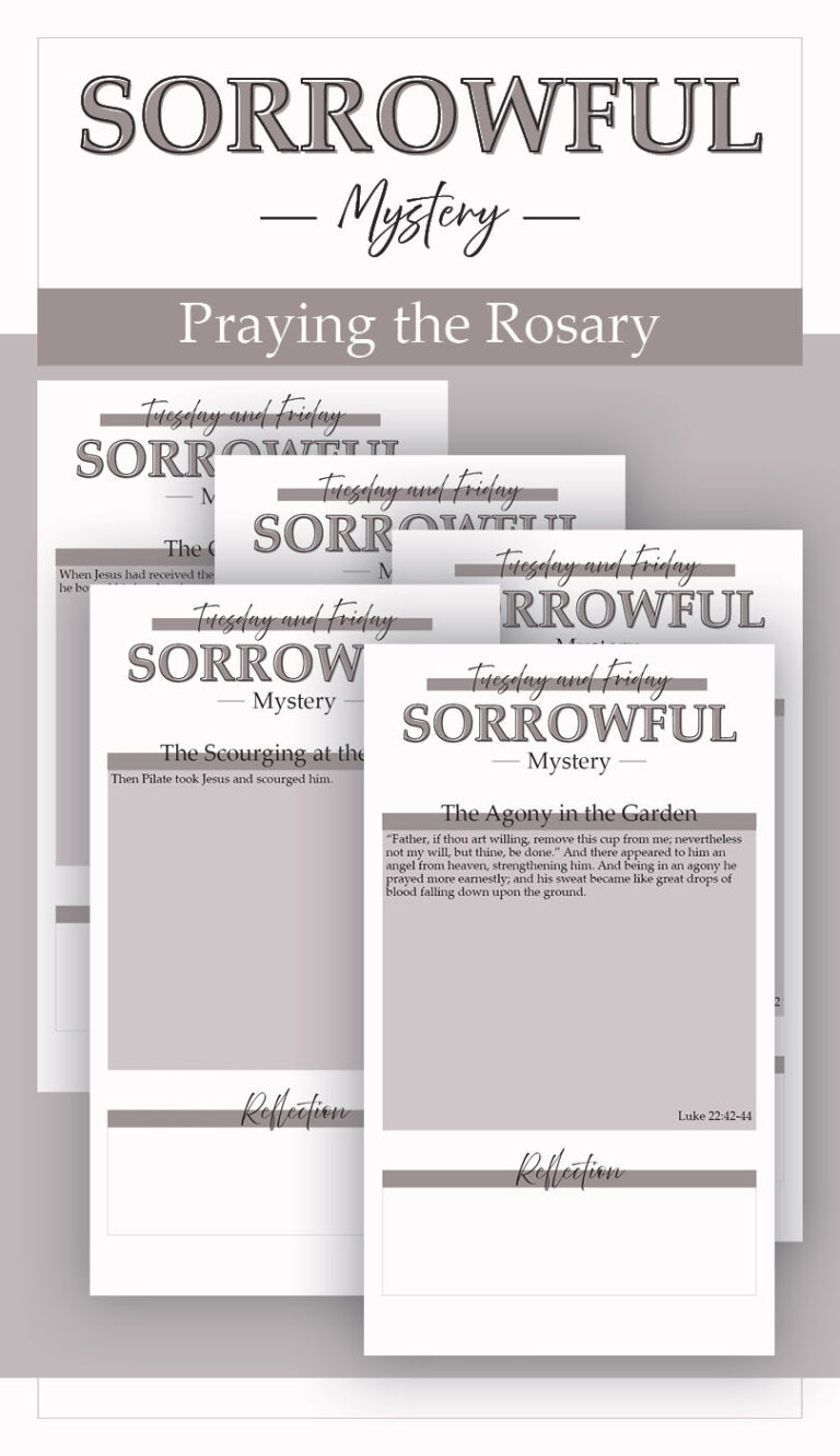 Joyful, Sorrowful, Glorious, and Luminous Rosary Mysteries - Katie T's Home