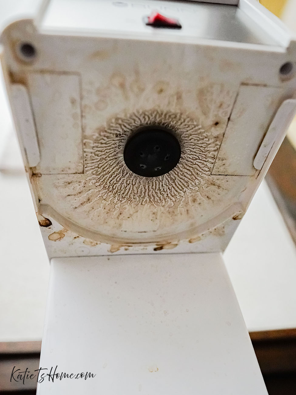 Deep Cleaning Your Coffee Maker the Right Way: Rustic Cottage Kitchen ...